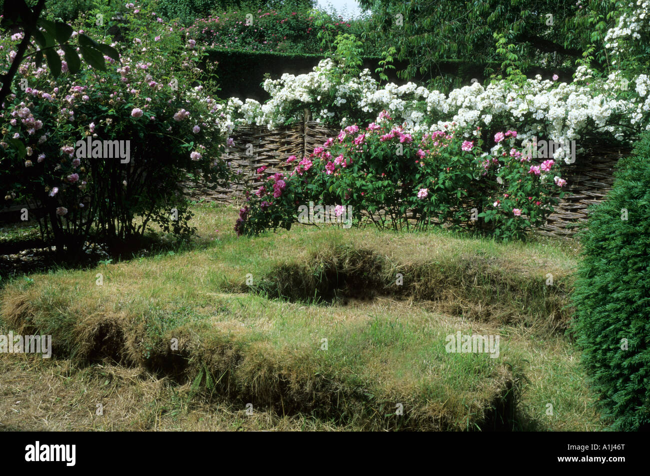 Medieval style turf bank seat wattle fence Mannington Hall Stock Photo ...