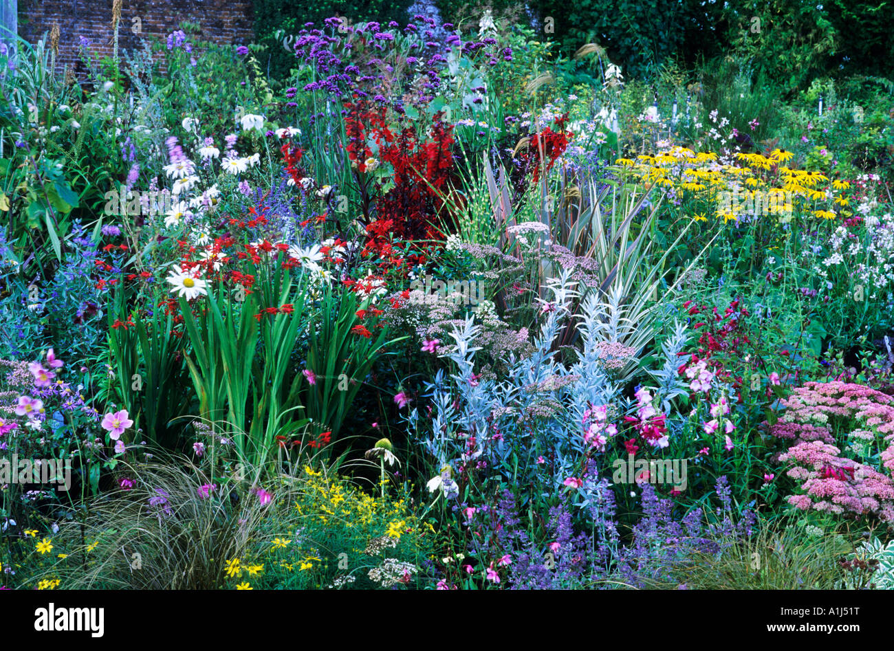 September Border all colours Stock Photo - Alamy