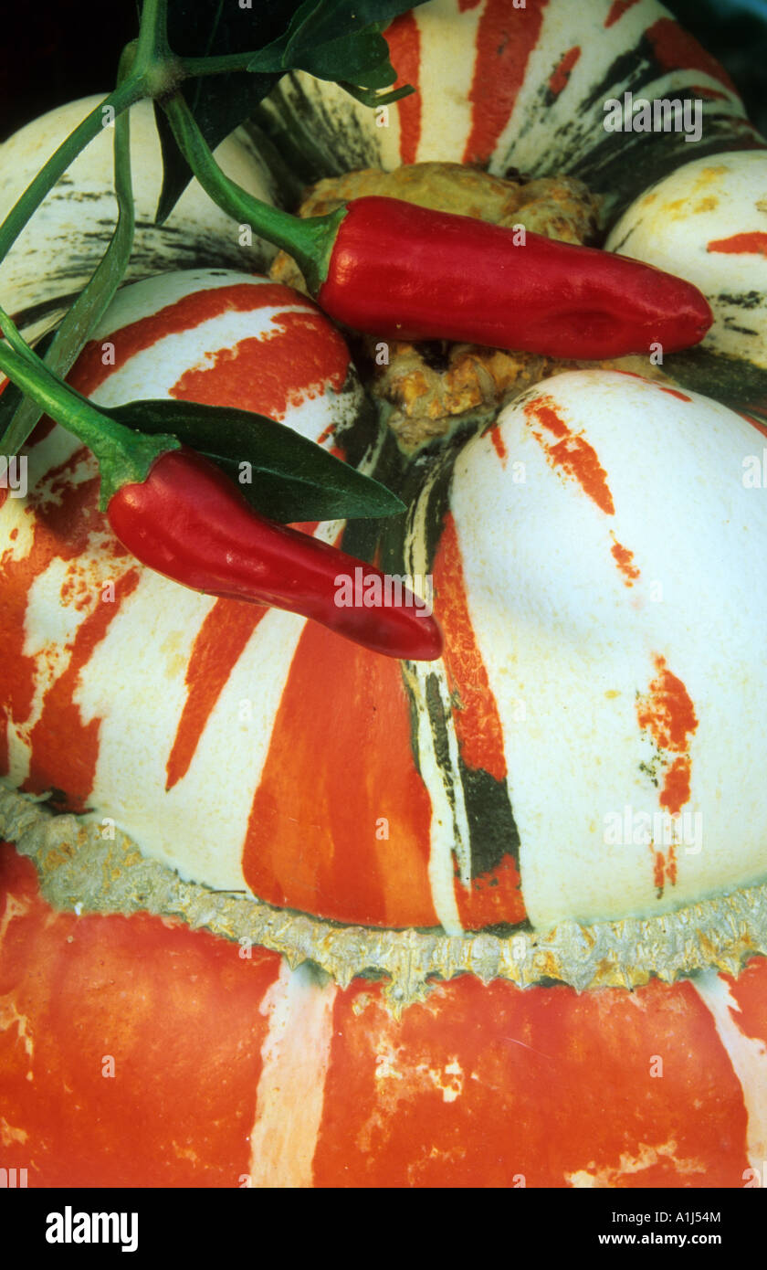 Turk turban squash hi-res stock photography and images - Alamy