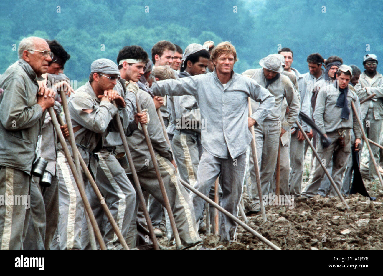 Brubaker Year 1980 Director Stuart Rosenberg Robert Redford Stock Photo ...