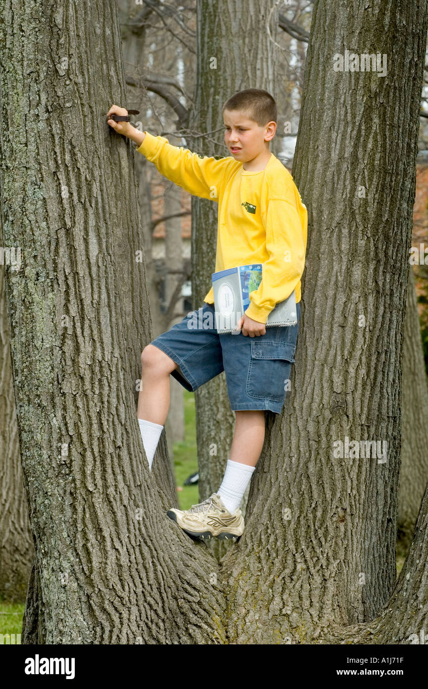 Middle School 12 year old boy stands in tree with book in hand while ...