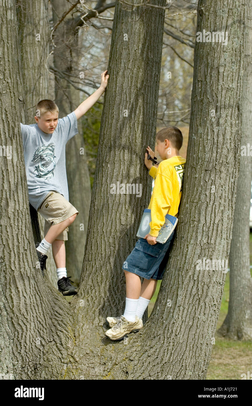 Middle School 12 year old boys stands in tree with book in hand talking ...