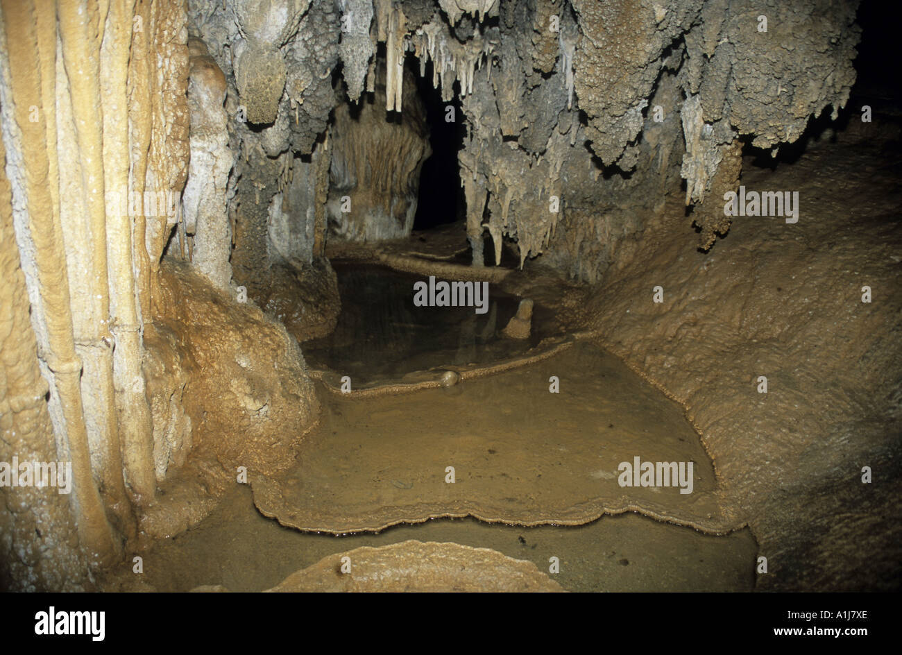 The Caverna de Santo Tomas.The most extensive cave system in Cuba Stock ...