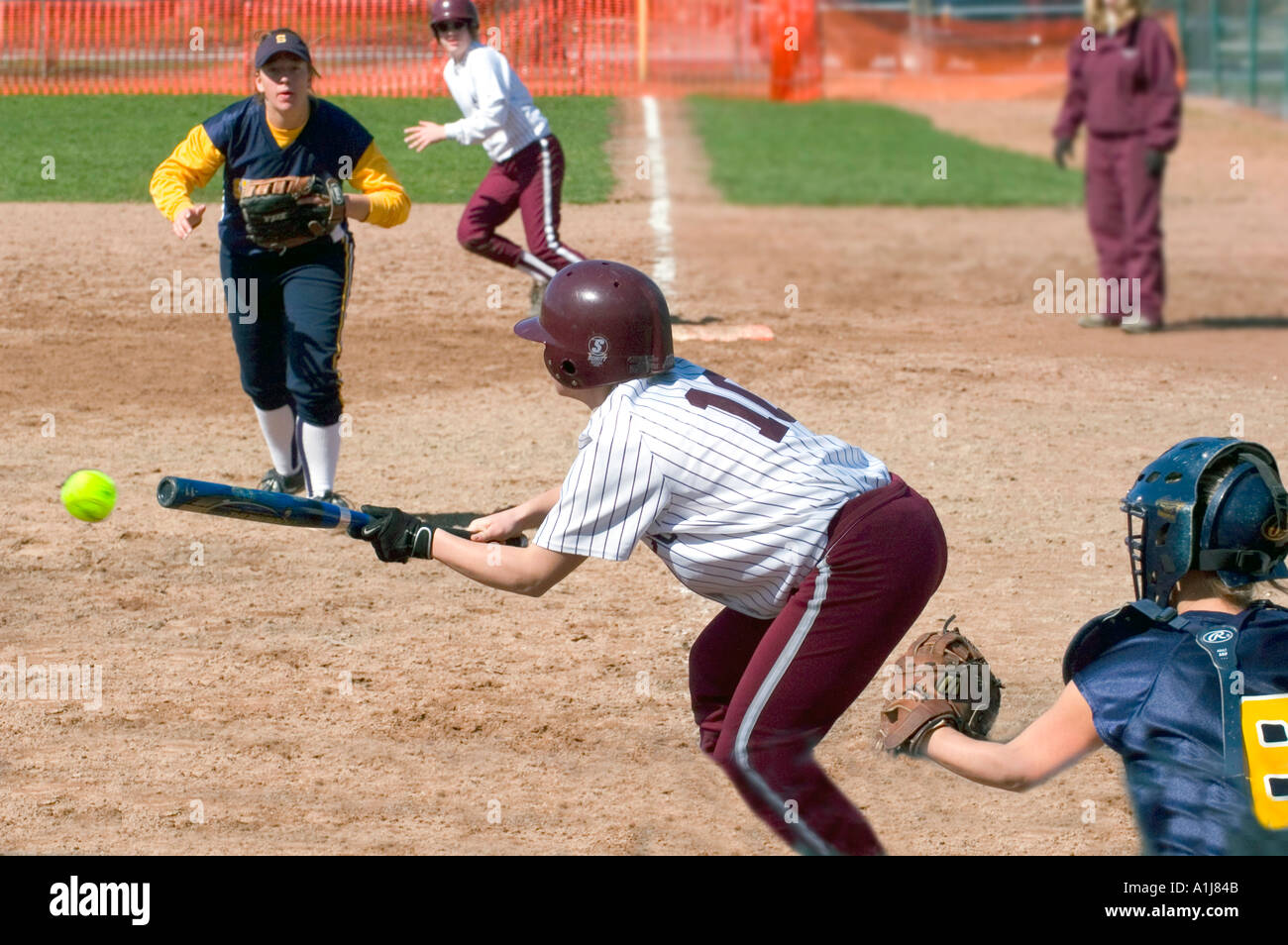 College level female softball Stock Photo - Alamy