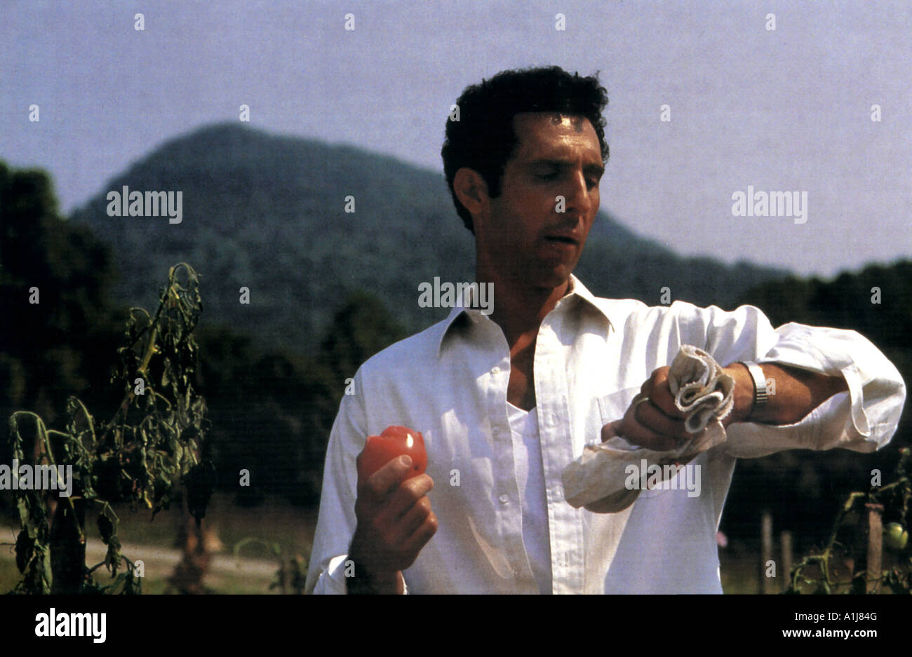 Box Of Moonlight Year 1996 Director Tom DiCillo John Turturro Stock ...