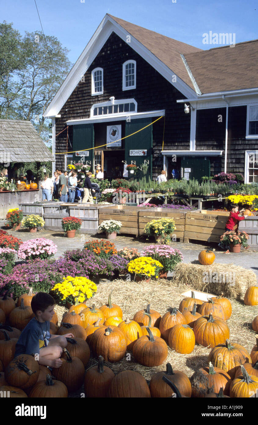 Country store with pumpkins hi-res stock photography and images - Alamy