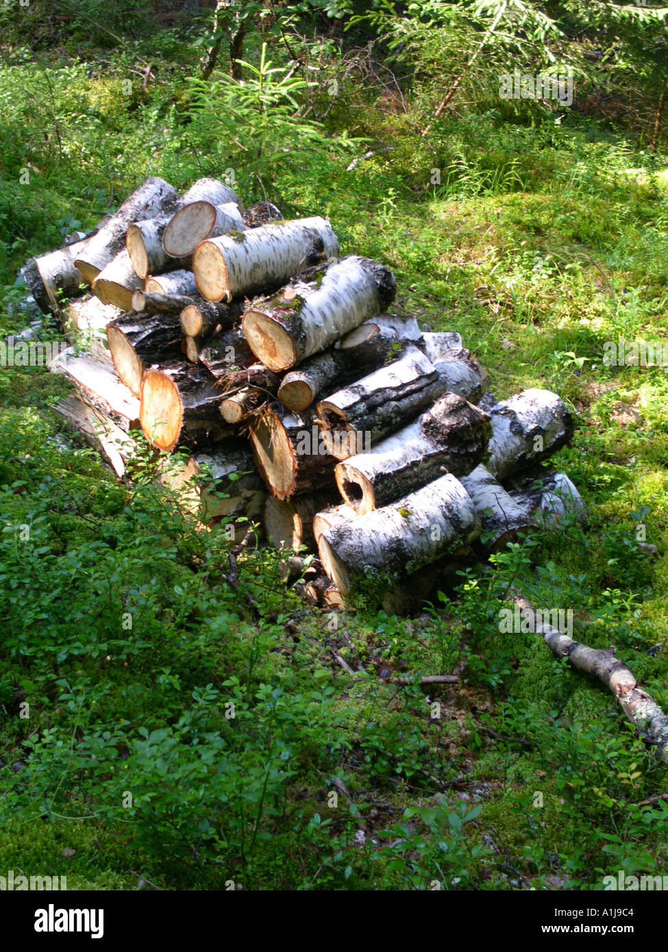 Fires in sweden hi-res stock photography and images - Alamy