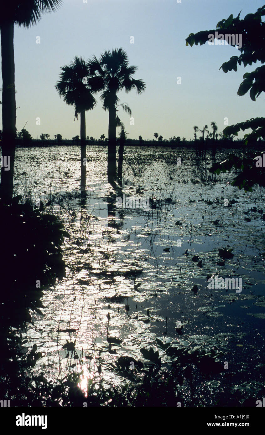 Zapata swamp national park hi-res stock photography and images - Alamy