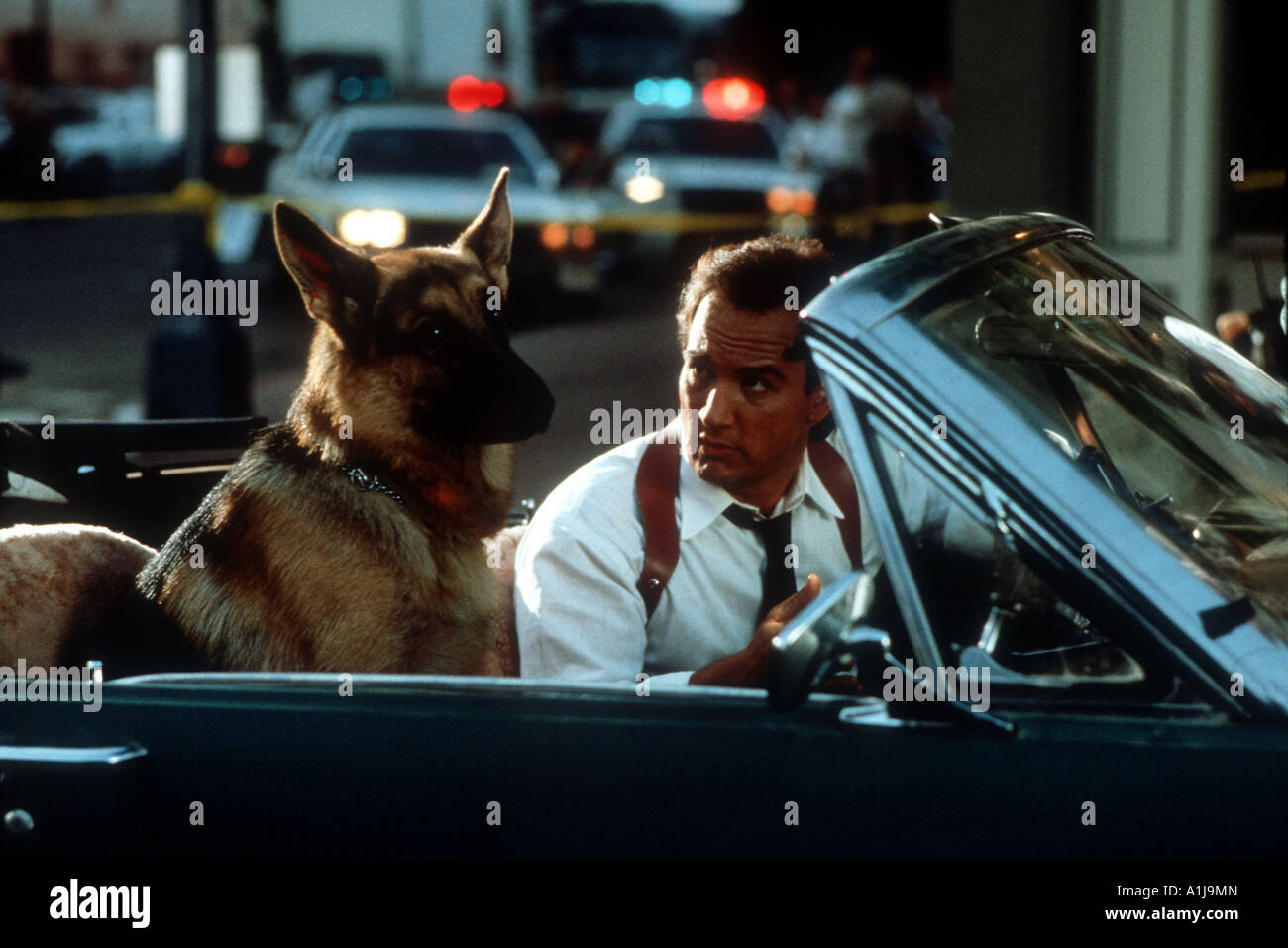 K 9 Year 1989 Director Rod Daniel James Belushi Stock Photo - Alamy
