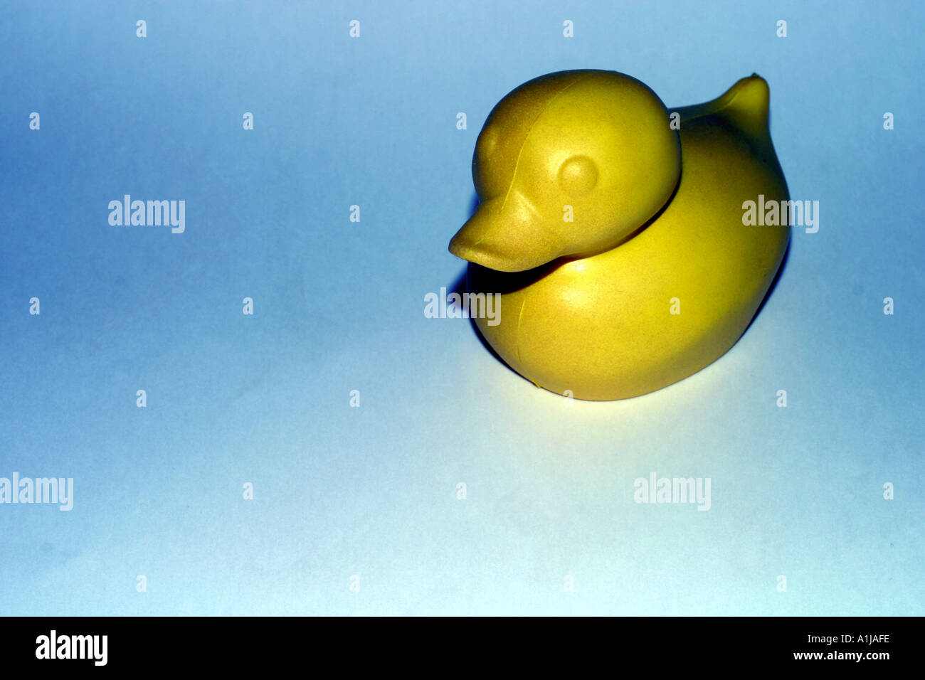 Anti duck hi-res stock photography and images - Alamy