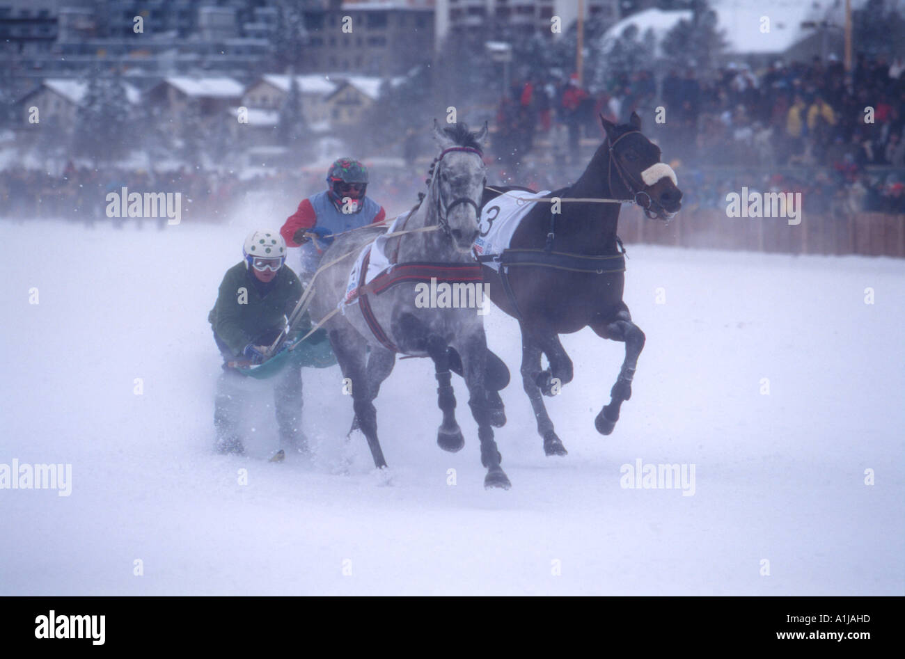 Horse racing white turf st moritz hi-res stock photography and images ...