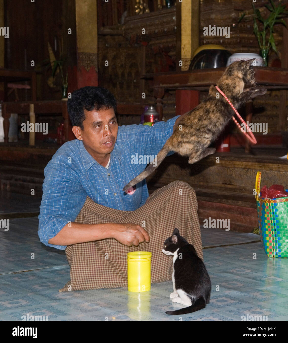 Nga Hpe Chaung. Jumping cat monastery. Inle Lake Myanmar Burma 2006 ...