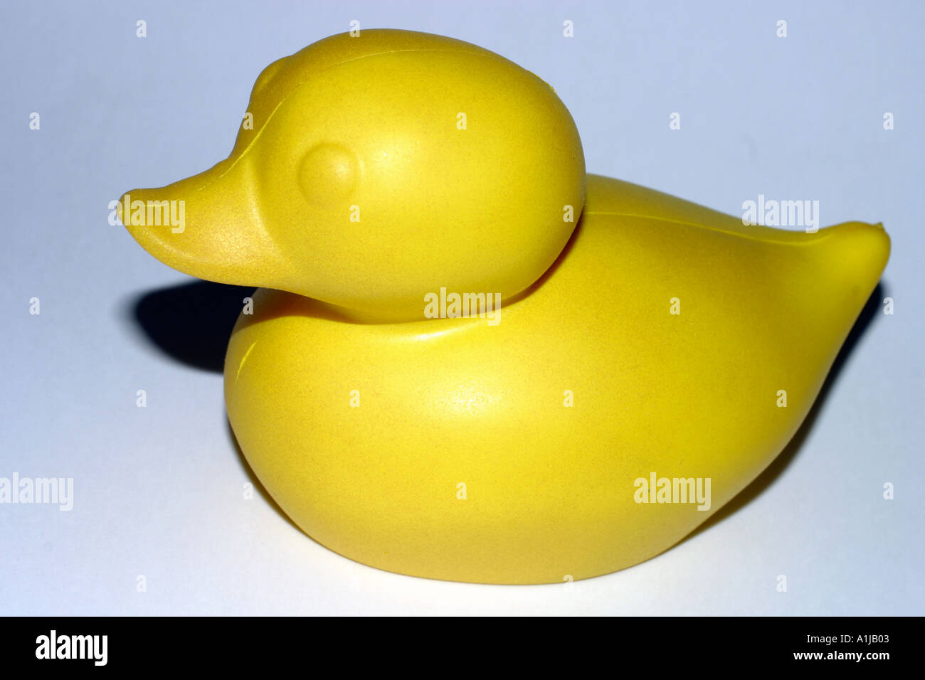 Anti duck hi-res stock photography and images - Alamy