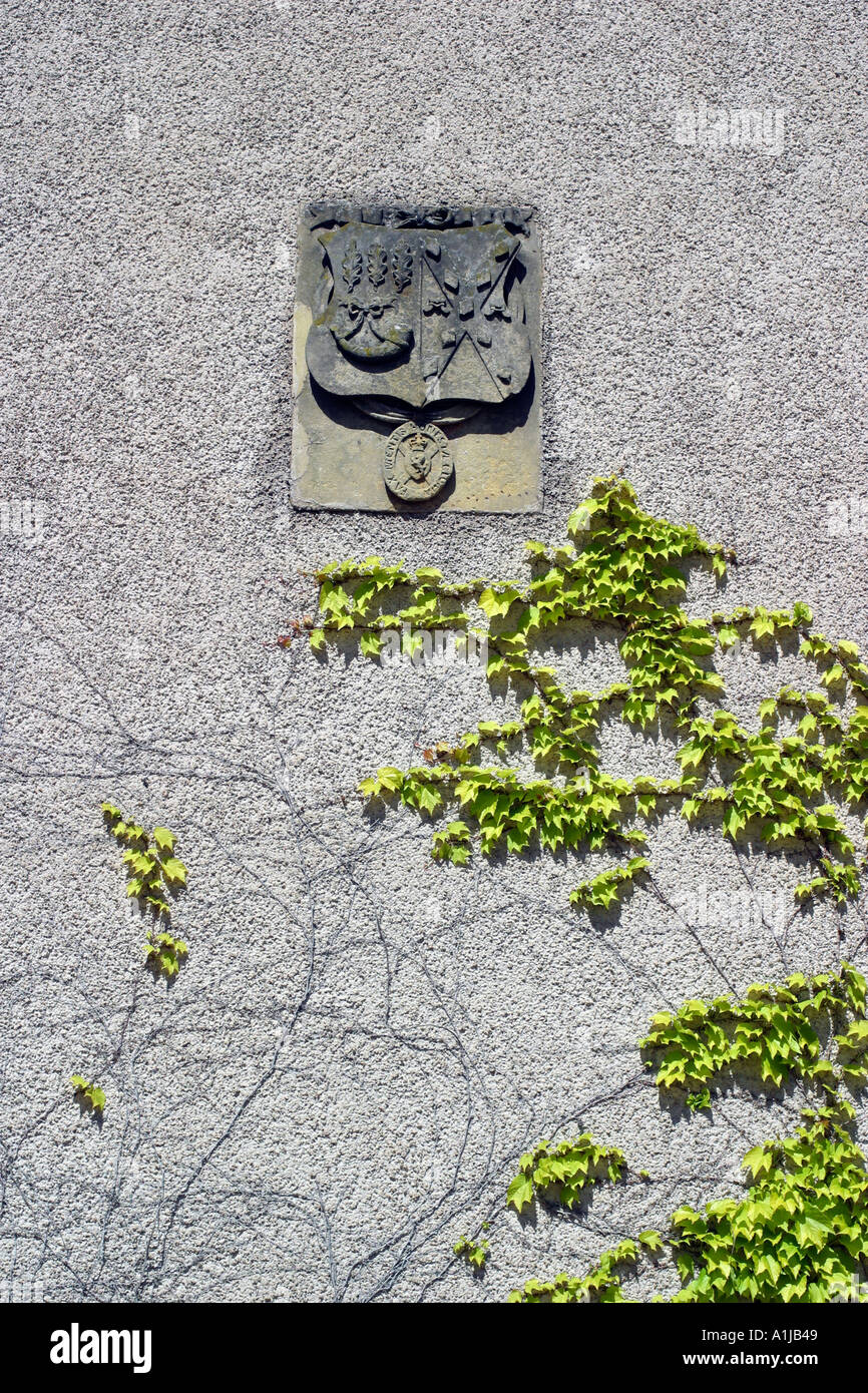 Ivie hi-res stock photography and images - Alamy