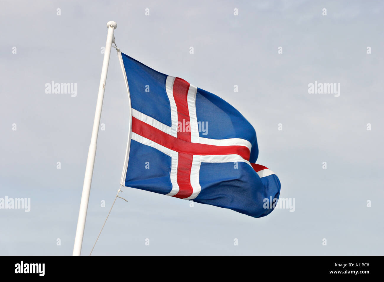 Icelandic National Flag Stock Photo - Alamy