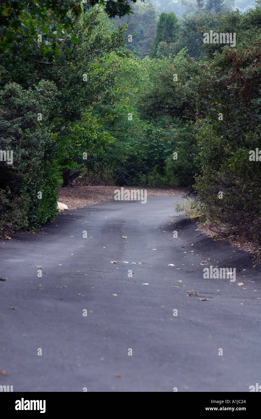 Mea path hi-res stock photography and images - Alamy