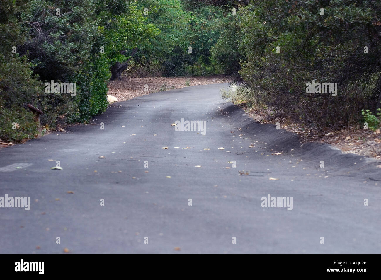 Mea path hi-res stock photography and images - Alamy