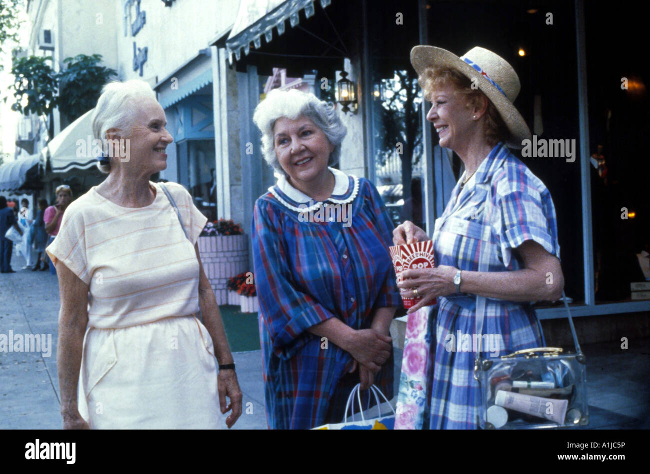 Cocoon The Return Year 1988 Director Daniel Petrie Jessica Tandy Gwen ...