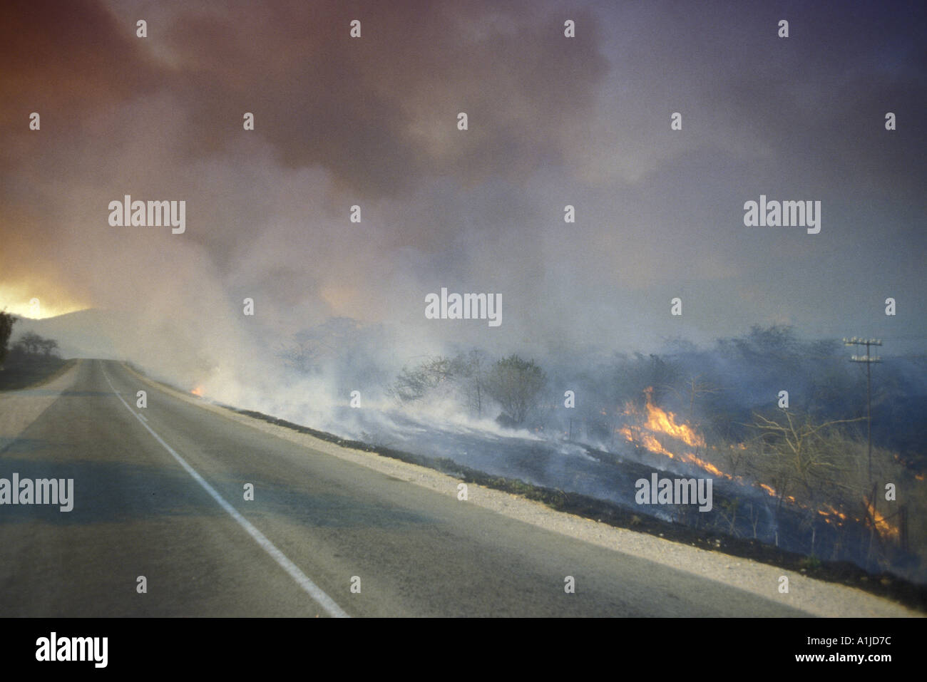 Dry bush road hi-res stock photography and images - Alamy