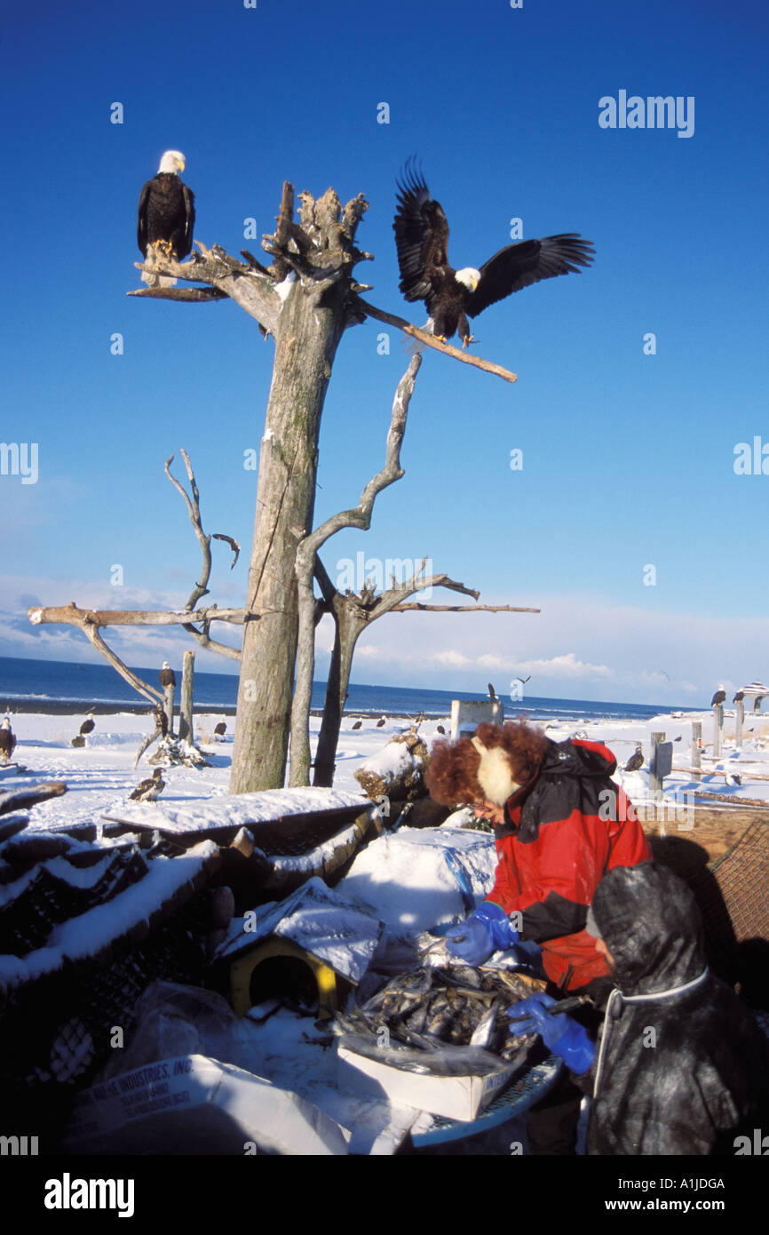 Eagle lady hi-res stock photography and images - Alamy