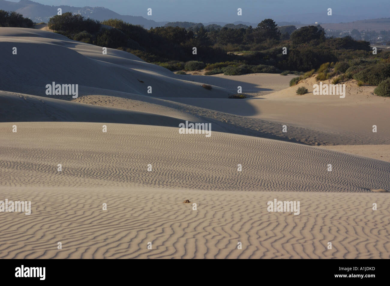 Oceano Sand Dunes Stock Photo - Alamy