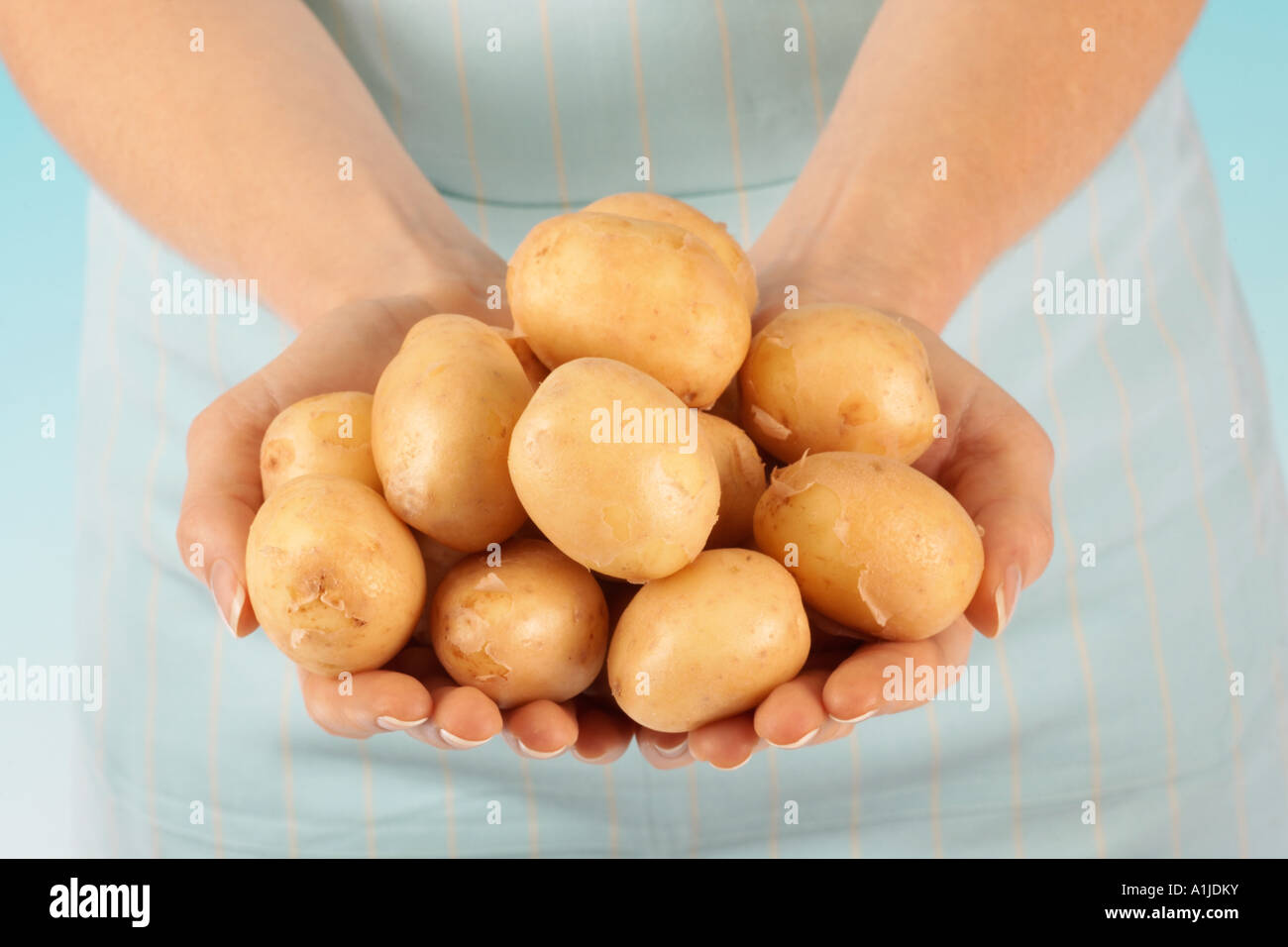 WOMAN HOLDING NEW POTATOES Stock Photo - Alamy
