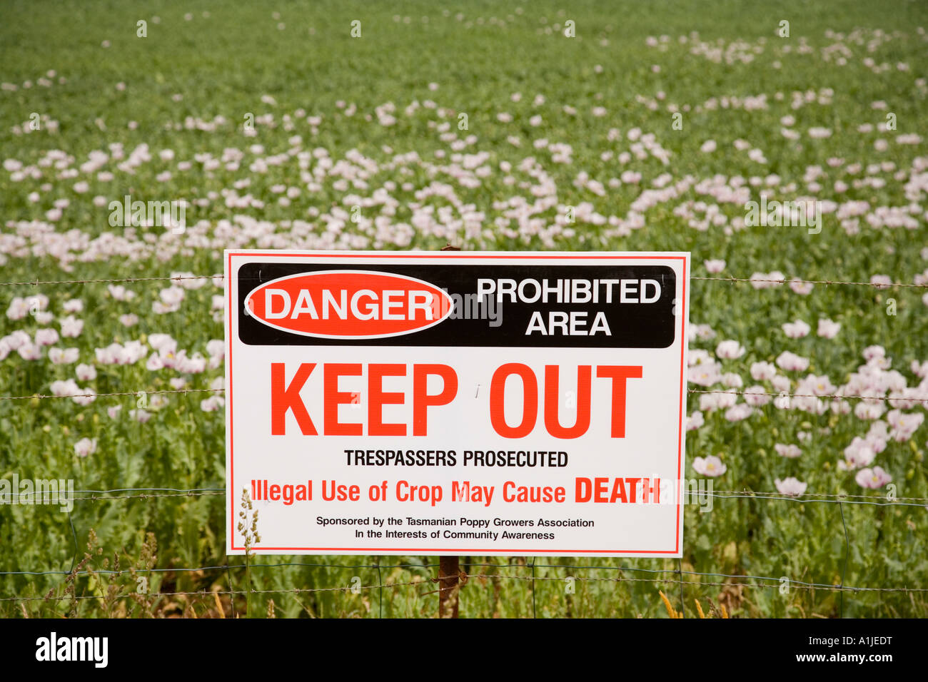 Warning Sign on Poppy Crop, Tasmania Stock Photo - Alamy