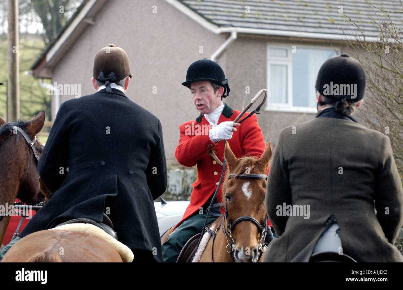 Hounds fox hunting wales uk hi-res stock photography and images - Alamy