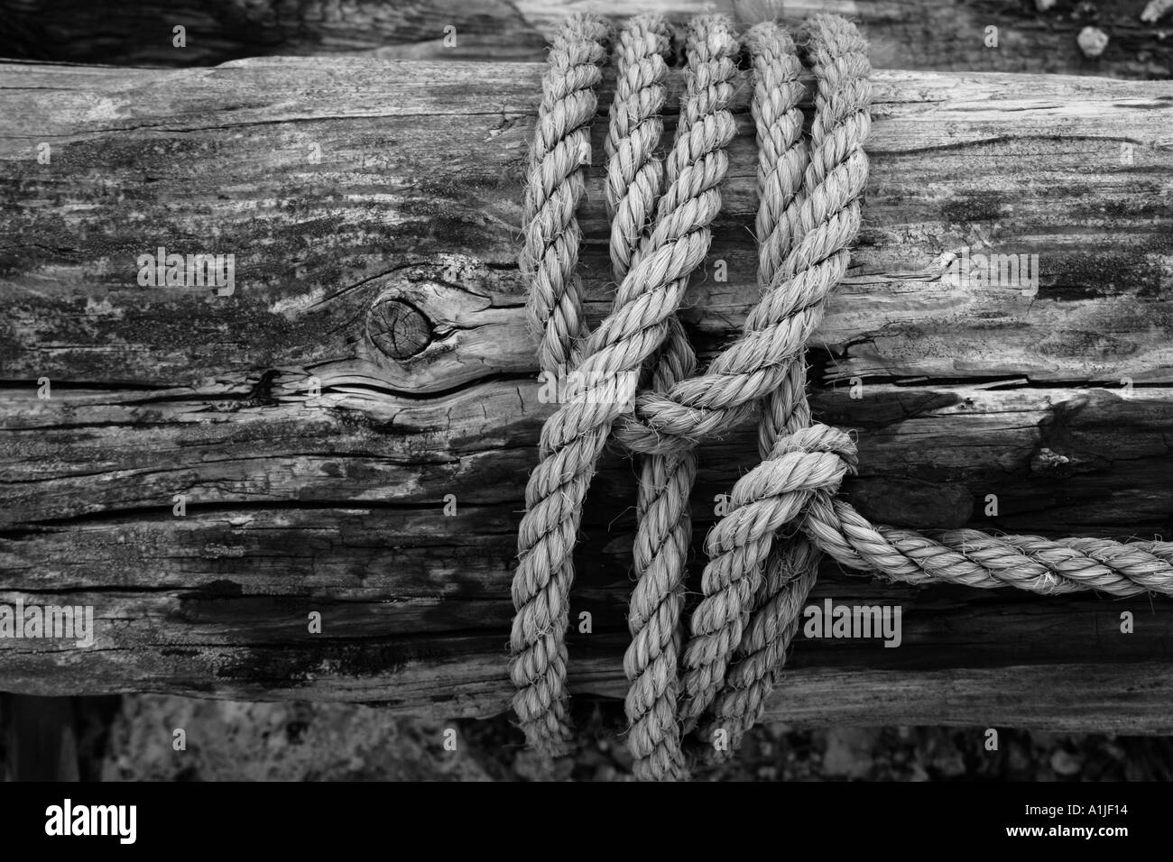 Rope tied around old timber post Charlestown Fife Scotland Stock Photo ...