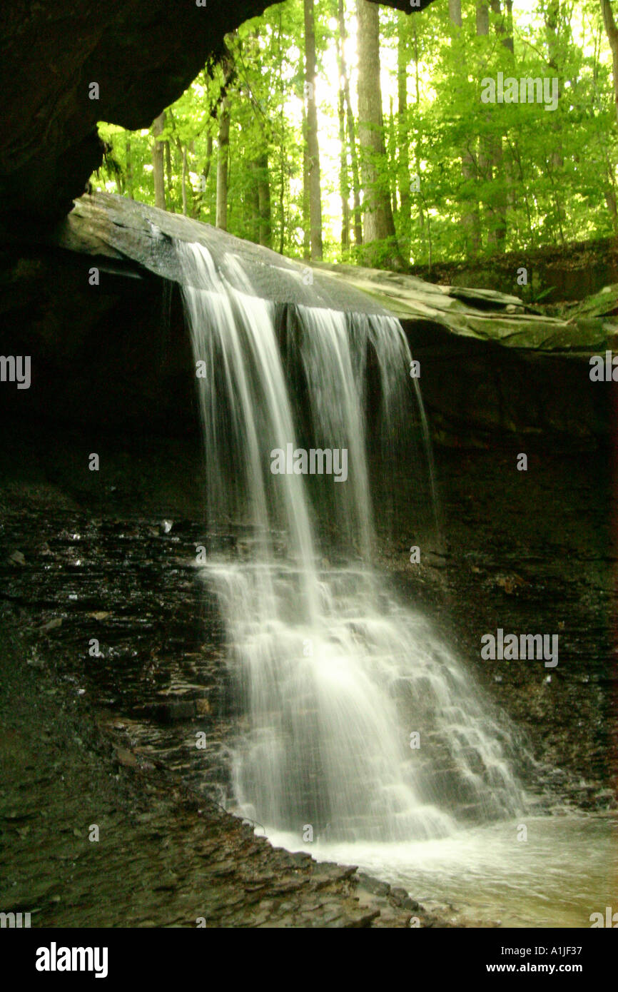 Blue hen falls hi-res stock photography and images - Alamy