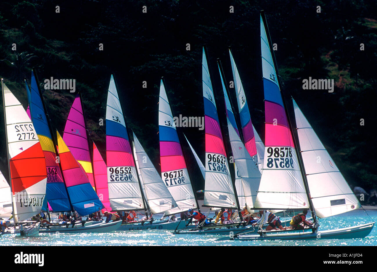 Racing catamaran hi-res stock photography and images - Alamy