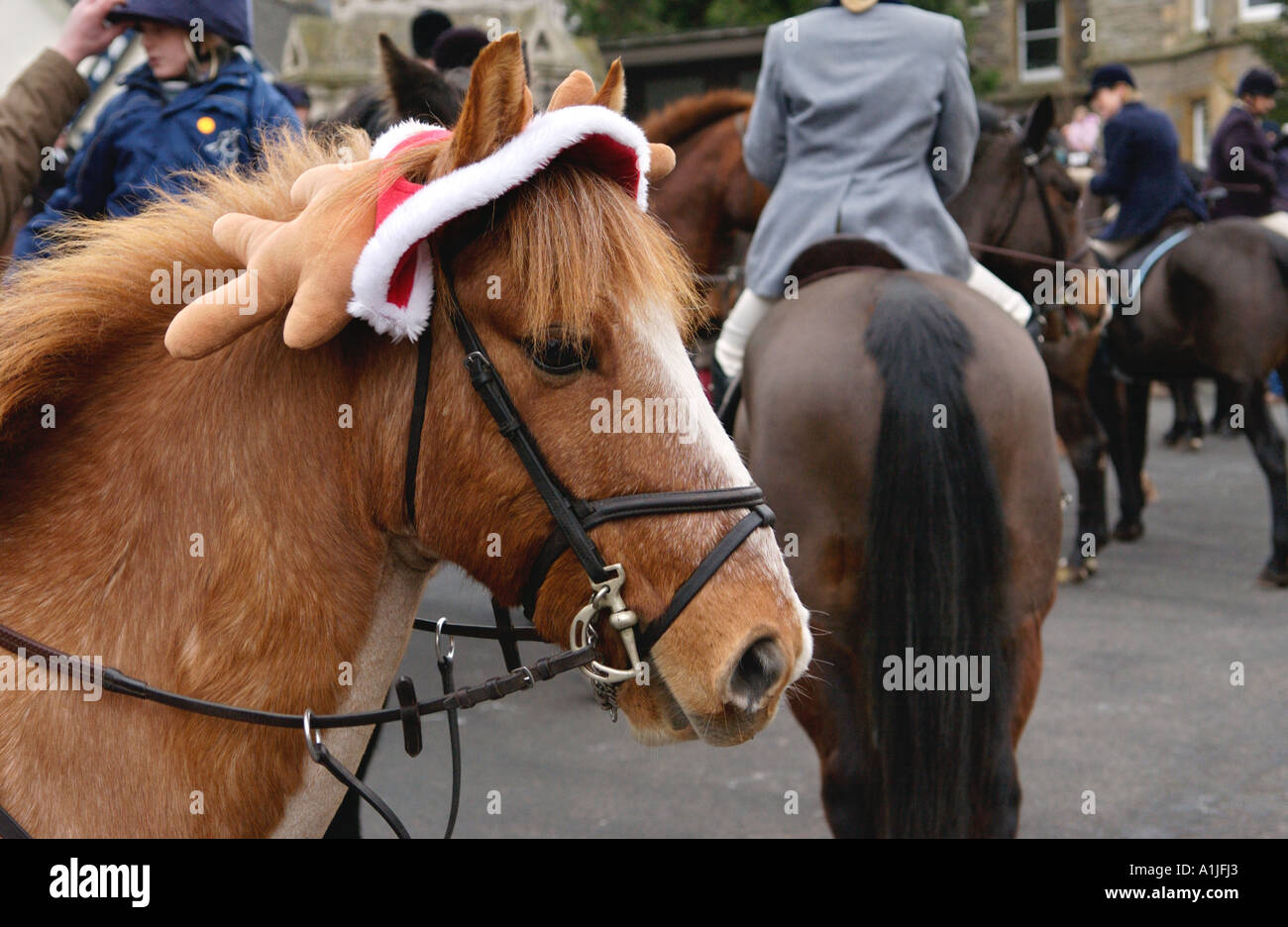 Golden Valley Hunt assemble at the Town Clock Square in Hay on Wye ...