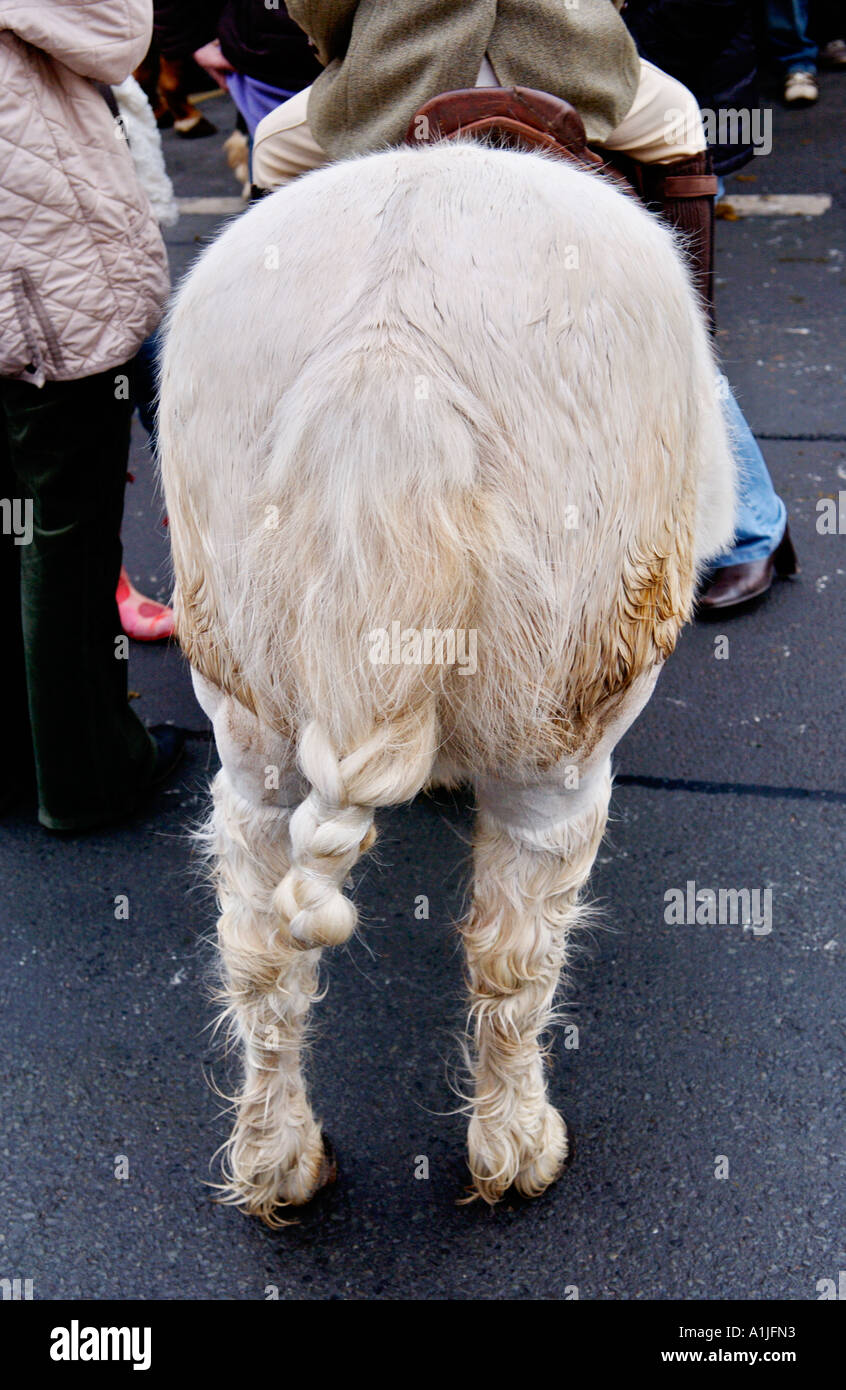 Golden valley boxing day hunt hi-res stock photography and images - Alamy