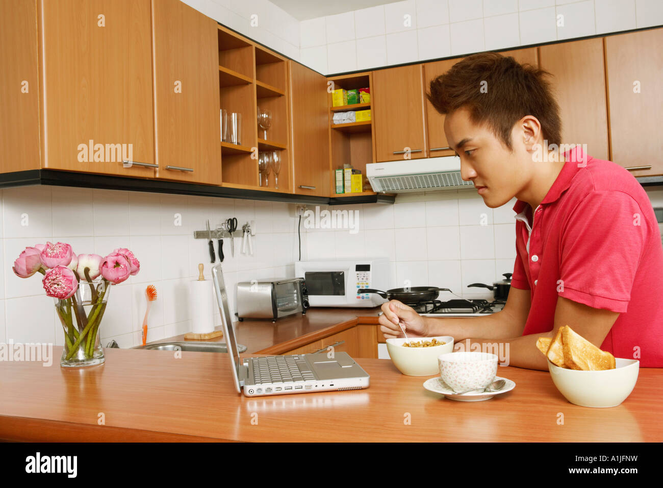 Side profile of a young man looking at a laptop at a kitchen counter ...
