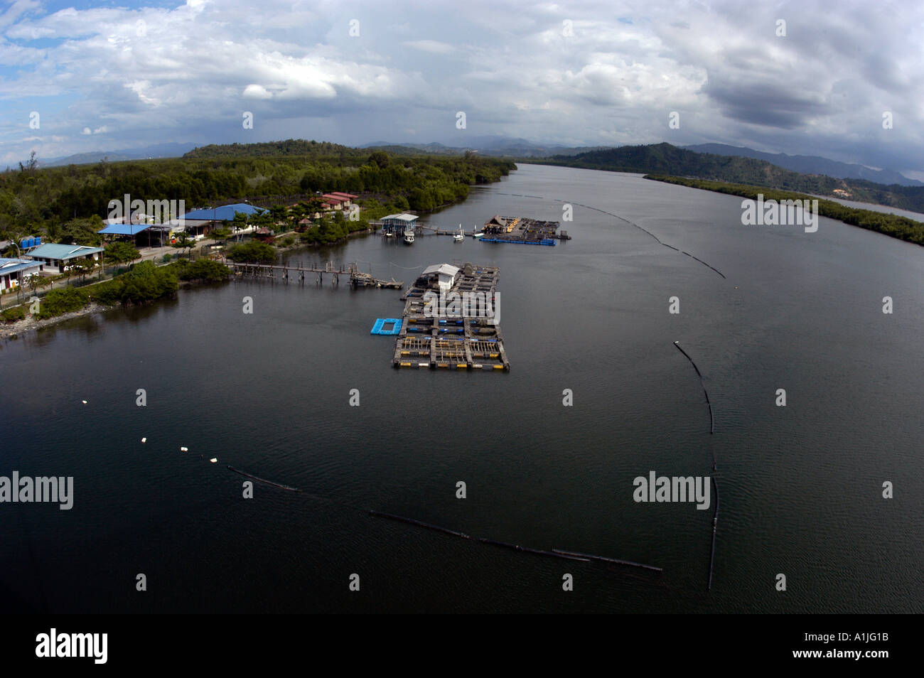 Malaysian holding pen for live fish Stock Photo - Alamy