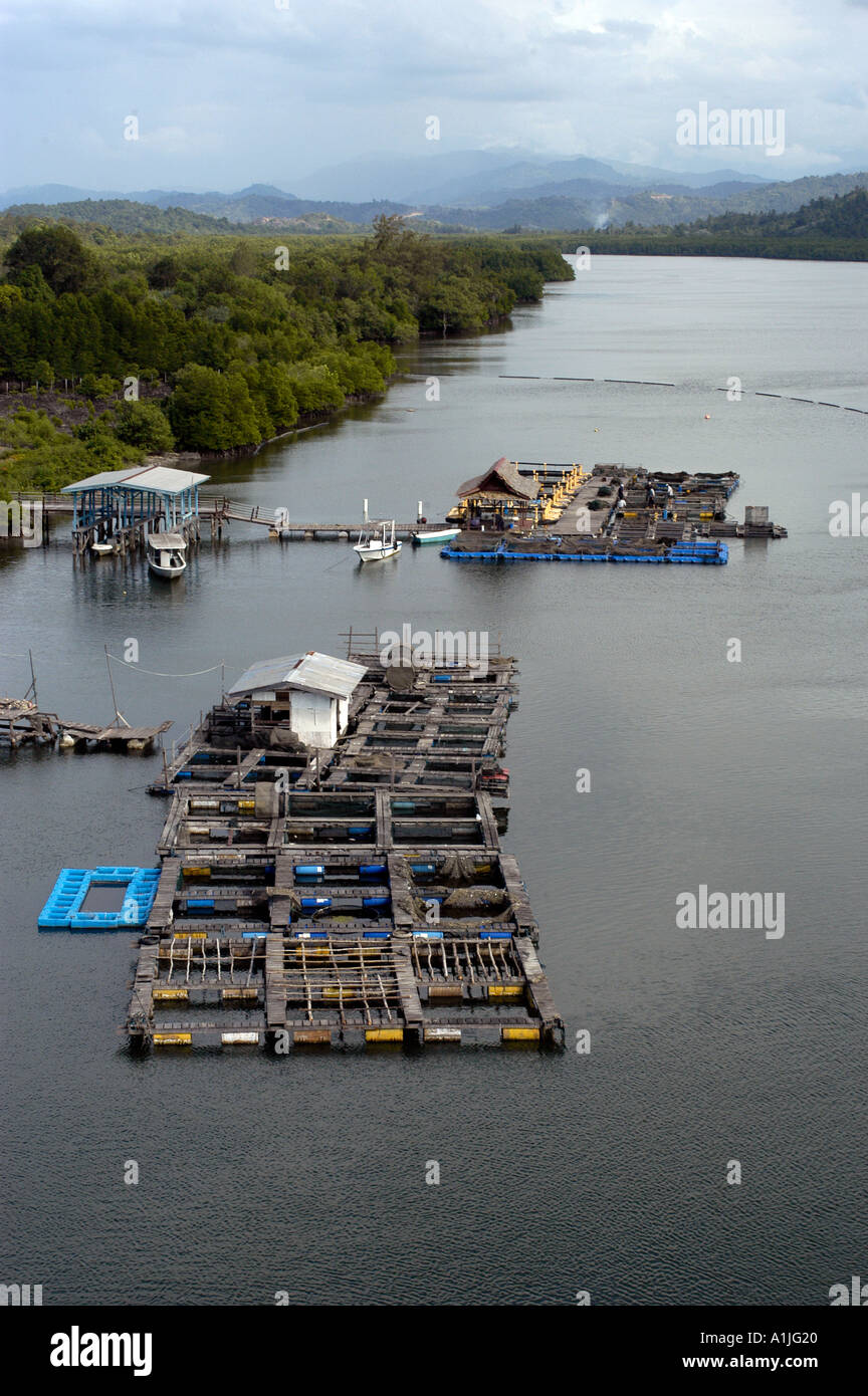 Malaysian holding pen for live fish Stock Photo - Alamy