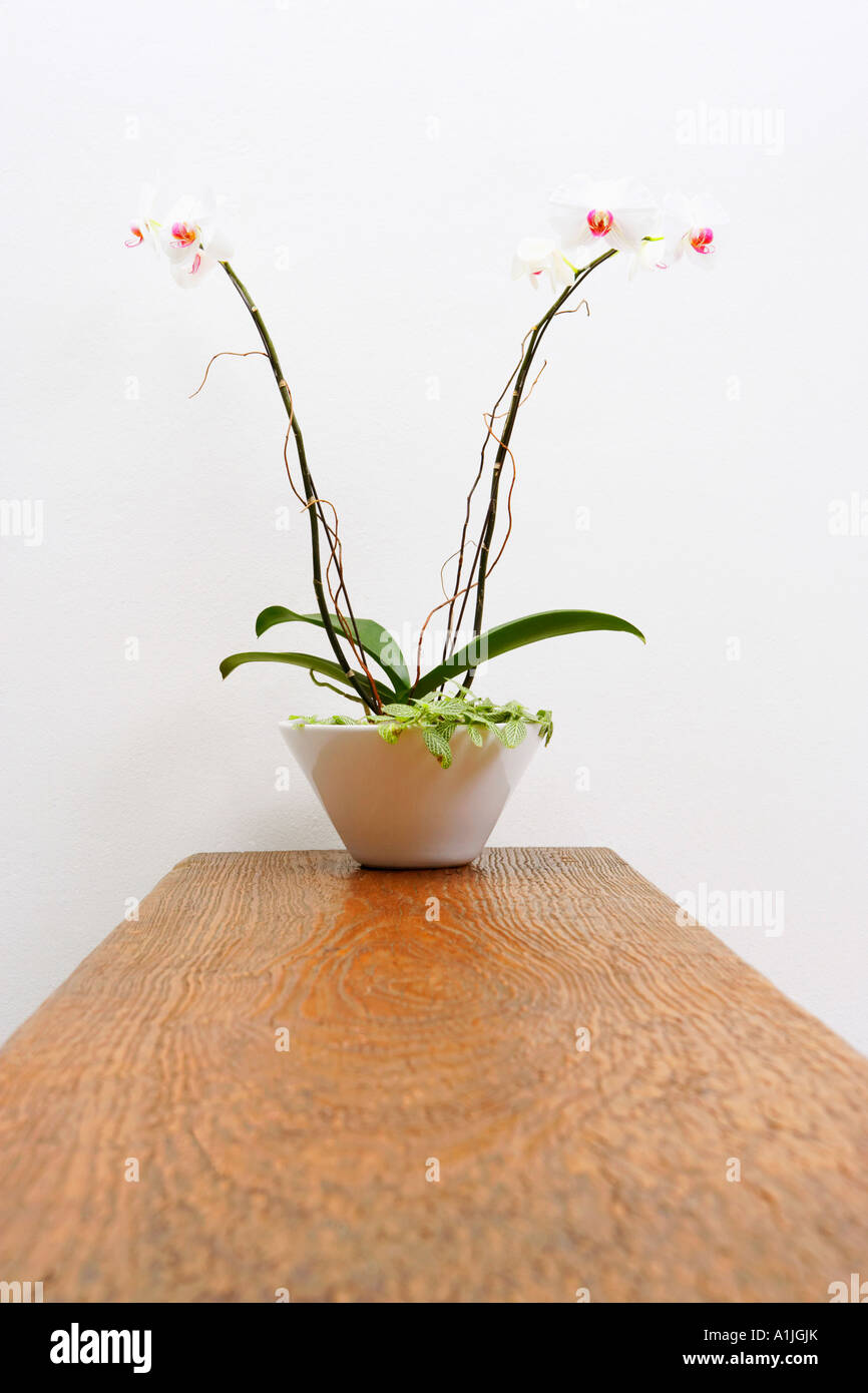 Wooden base hi-res stock photography and images - Alamy