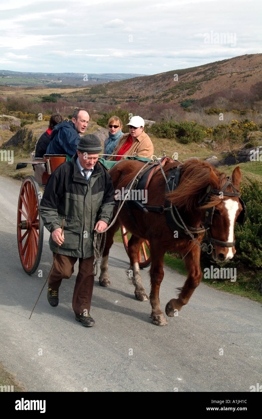 Irish jaunting cart hi-res stock photography and images - Alamy