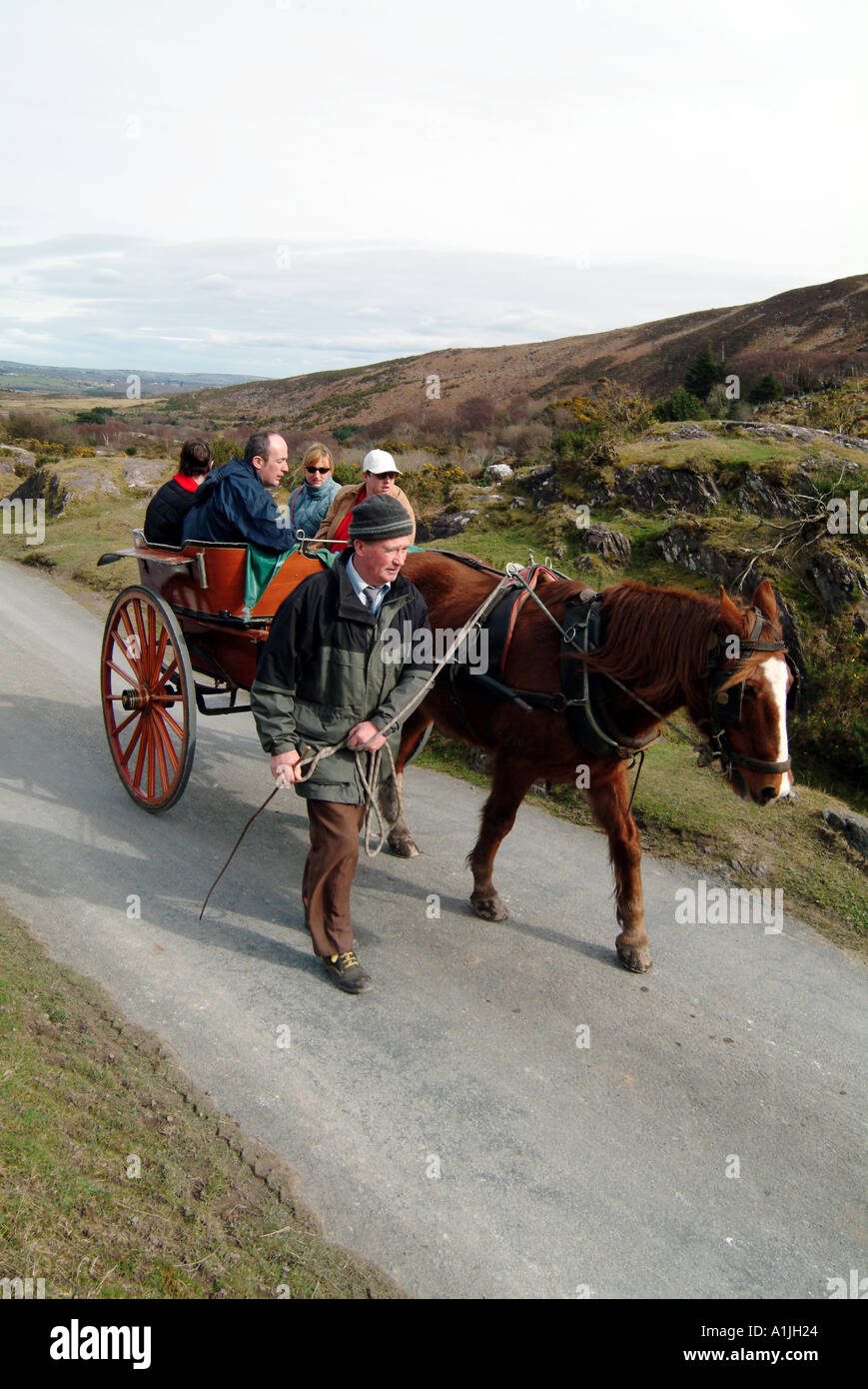 Horse and cart pony and trap or jaunting car High Resolution Stock ...