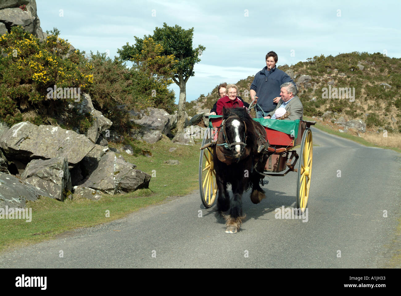 Irish jaunting cart hi-res stock photography and images - Alamy