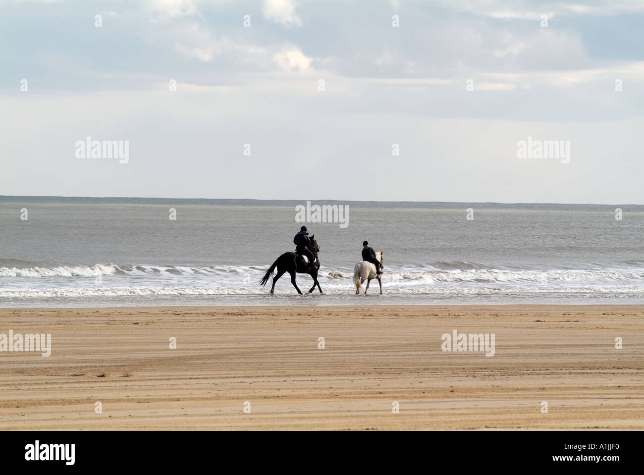 Horse being ridden uk hi-res stock photography and images - Alamy