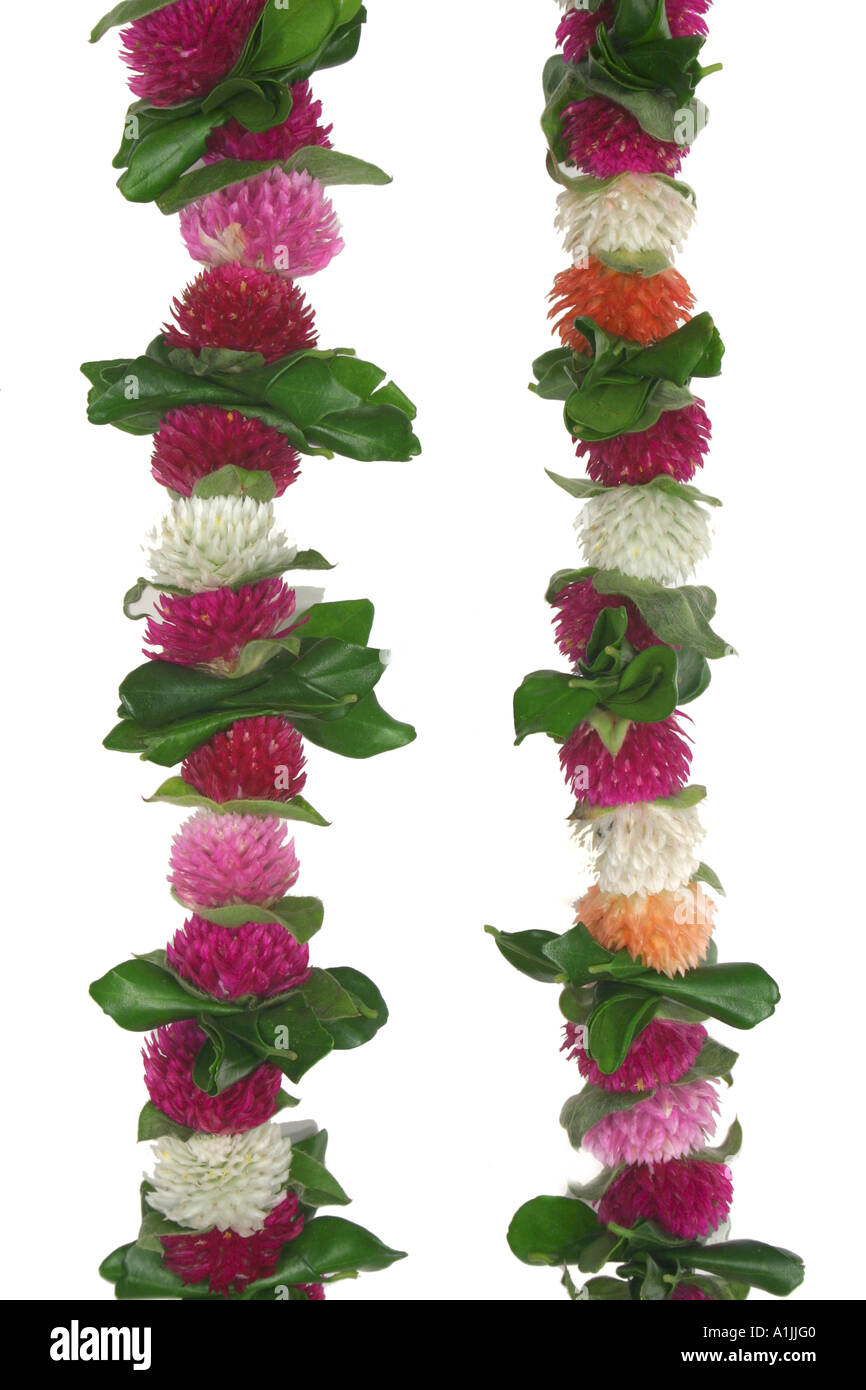 Flower lei against white studio background Stock Photo - Alamy