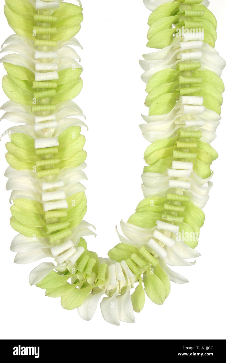 Flower lei against white studio background Stock Photo - Alamy