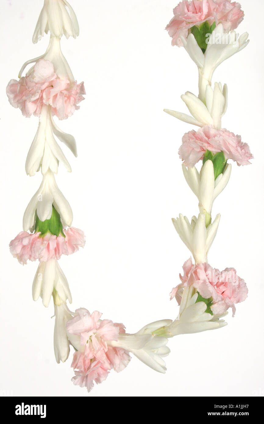 Flower lei against white studio background Stock Photo - Alamy