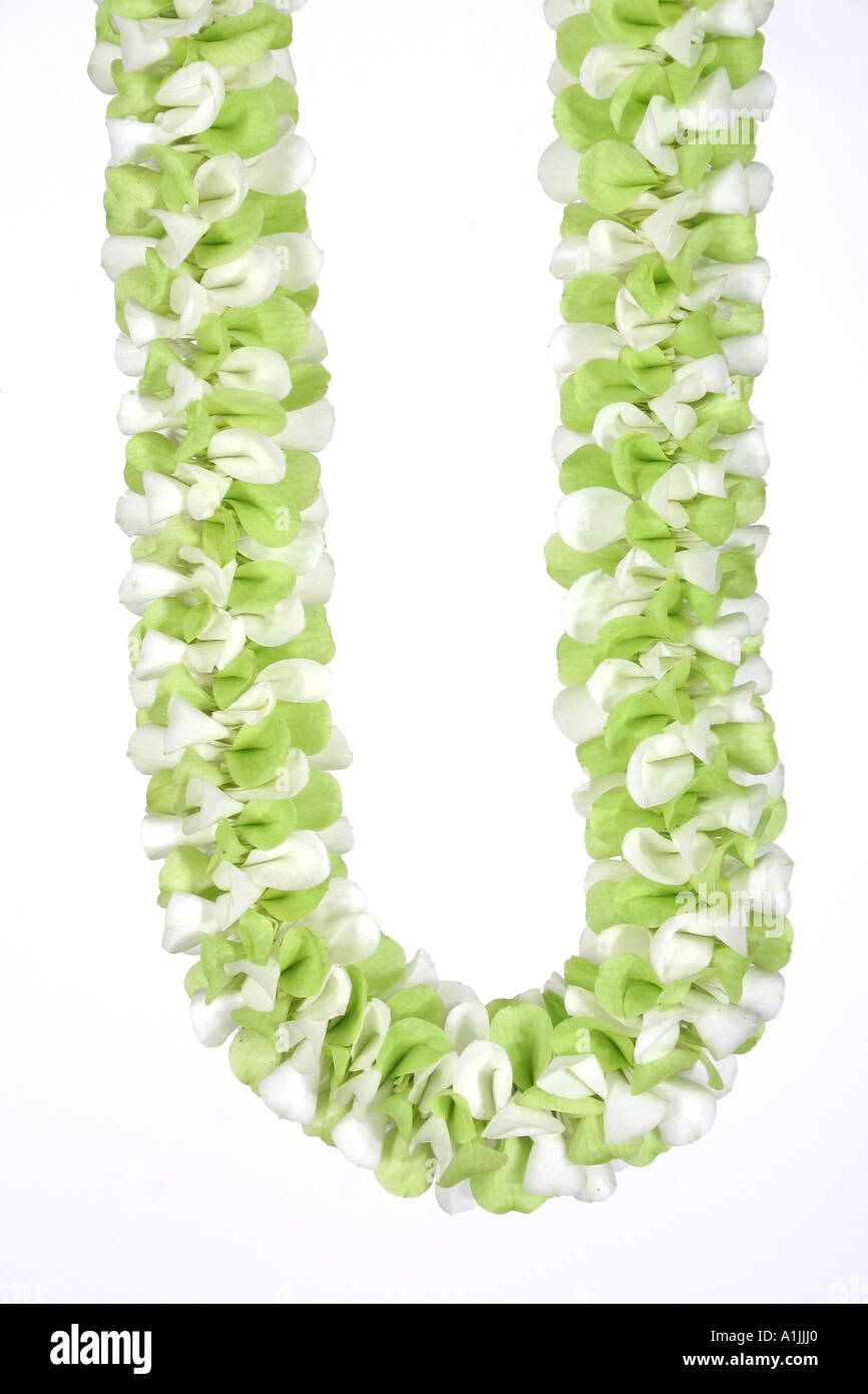 Flower lei against white studio background Stock Photo - Alamy