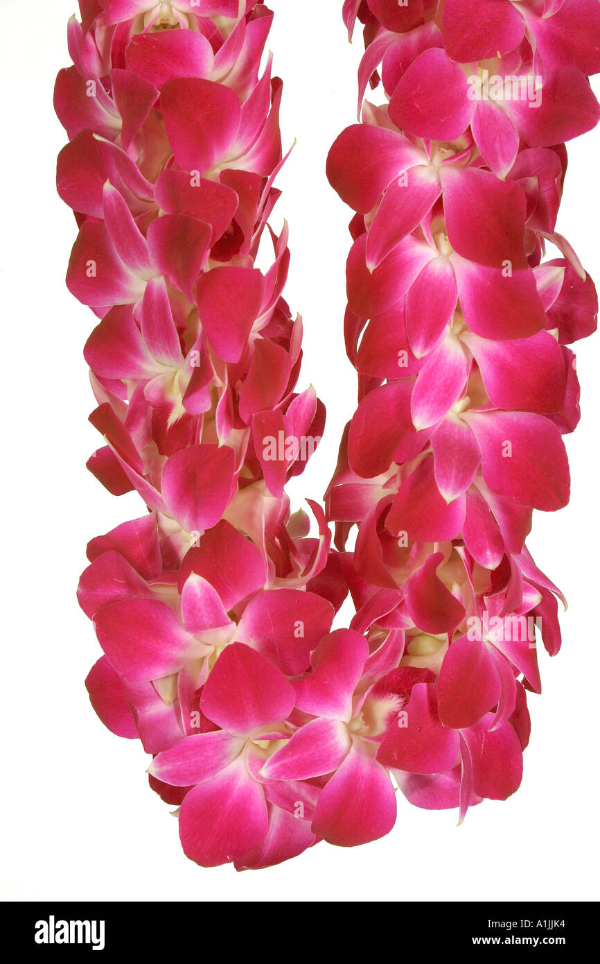 Flower lei against white studio background Stock Photo - Alamy
