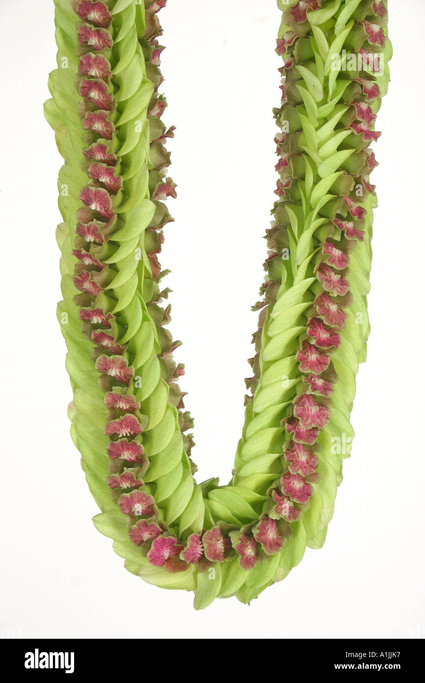 Flower lei against white studio background Stock Photo - Alamy