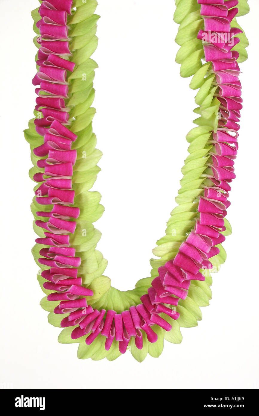 Flower lei against white studio background Stock Photo - Alamy