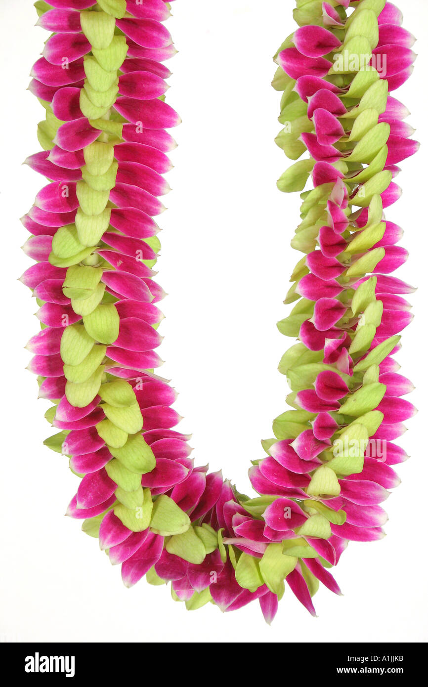 Flower lei against white studio background Stock Photo - Alamy