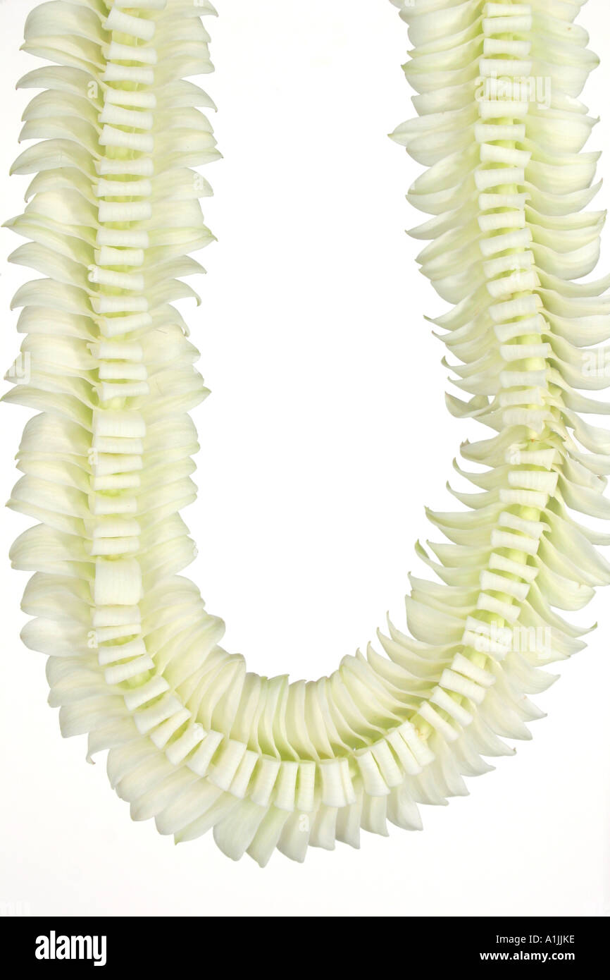Flower lei against white studio background Stock Photo - Alamy